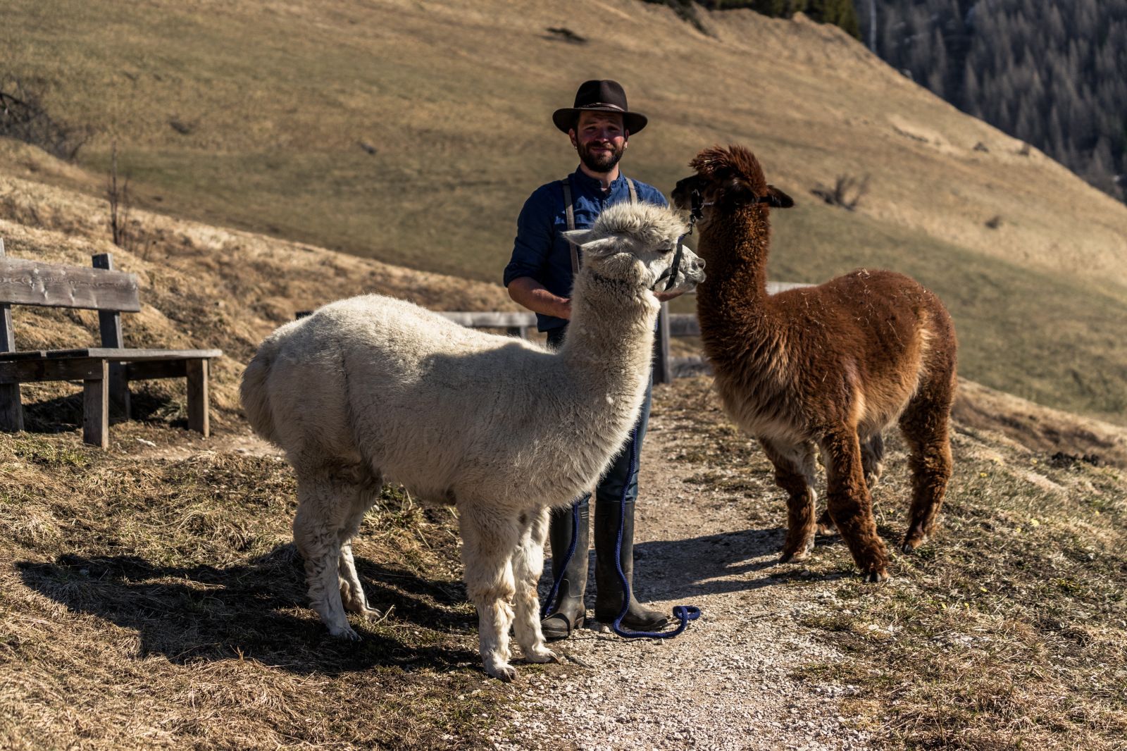 Dolomites Farm, our bio farm in Alta Badia